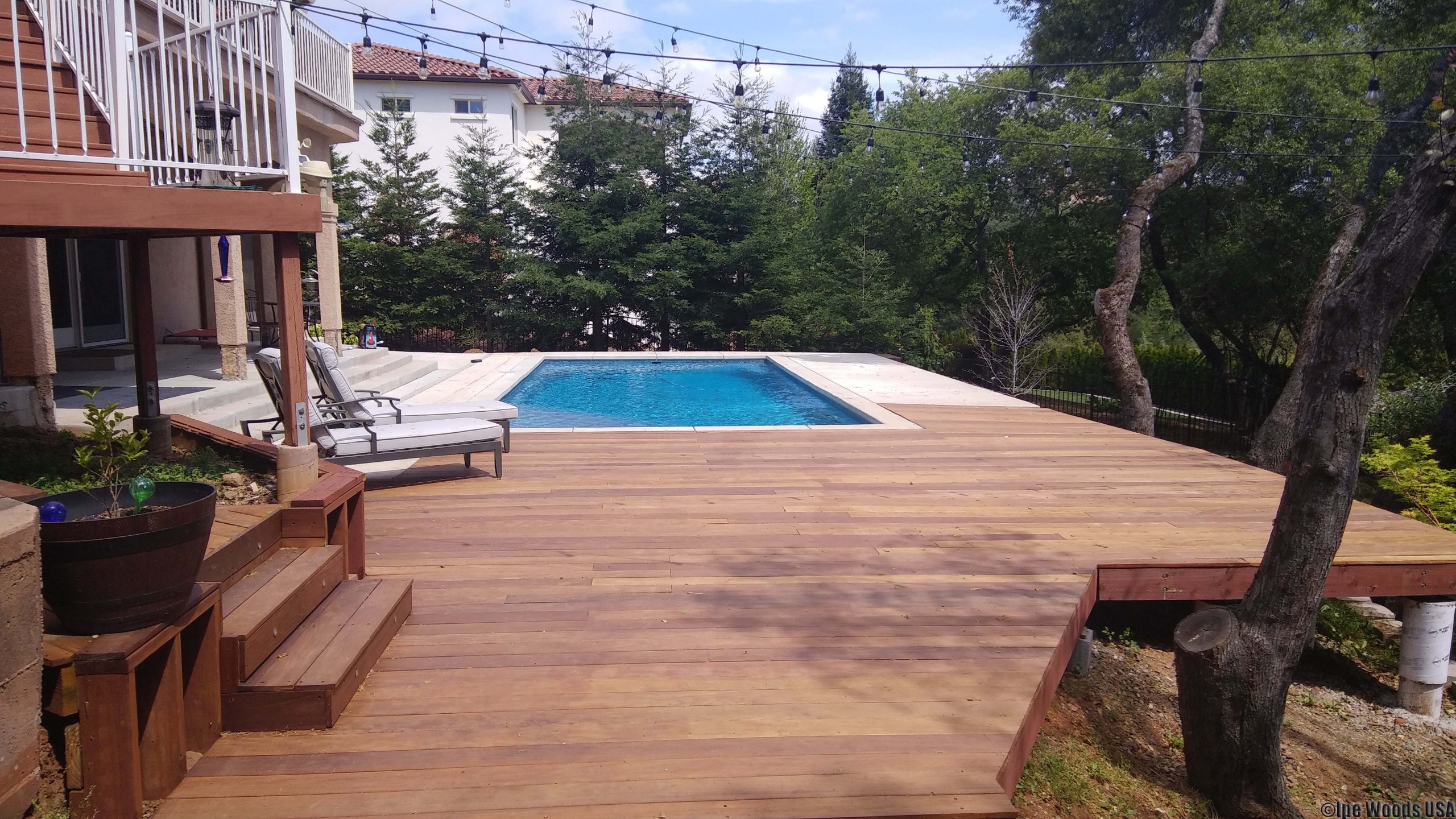 Ipe Wood vs Other Hardwoods: Ultimate Decking Guide