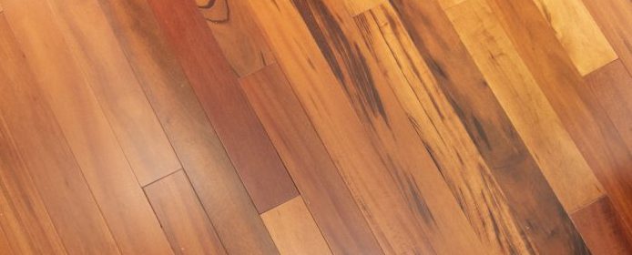 Tigerwood: An Exotic Hardwood with Distinctive Characteristics